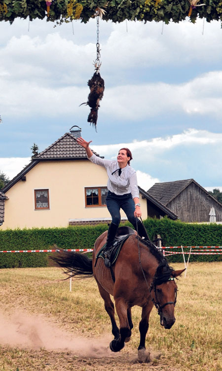 Jubiläumshahnrupfen in Briesen