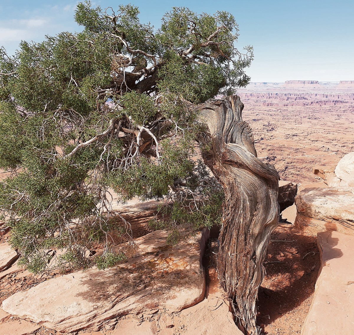Go West: Felsenstädte der Anasazi-Indianer - Nachrichten aus Südbrandenburg